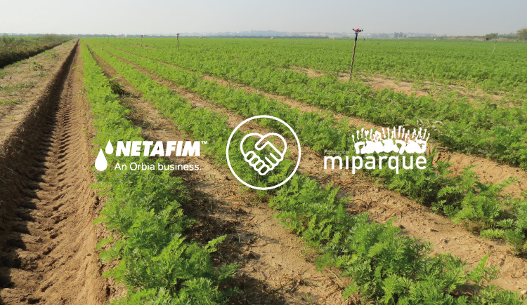 Alianza Netafim - Fundación Mi parque - Netafim