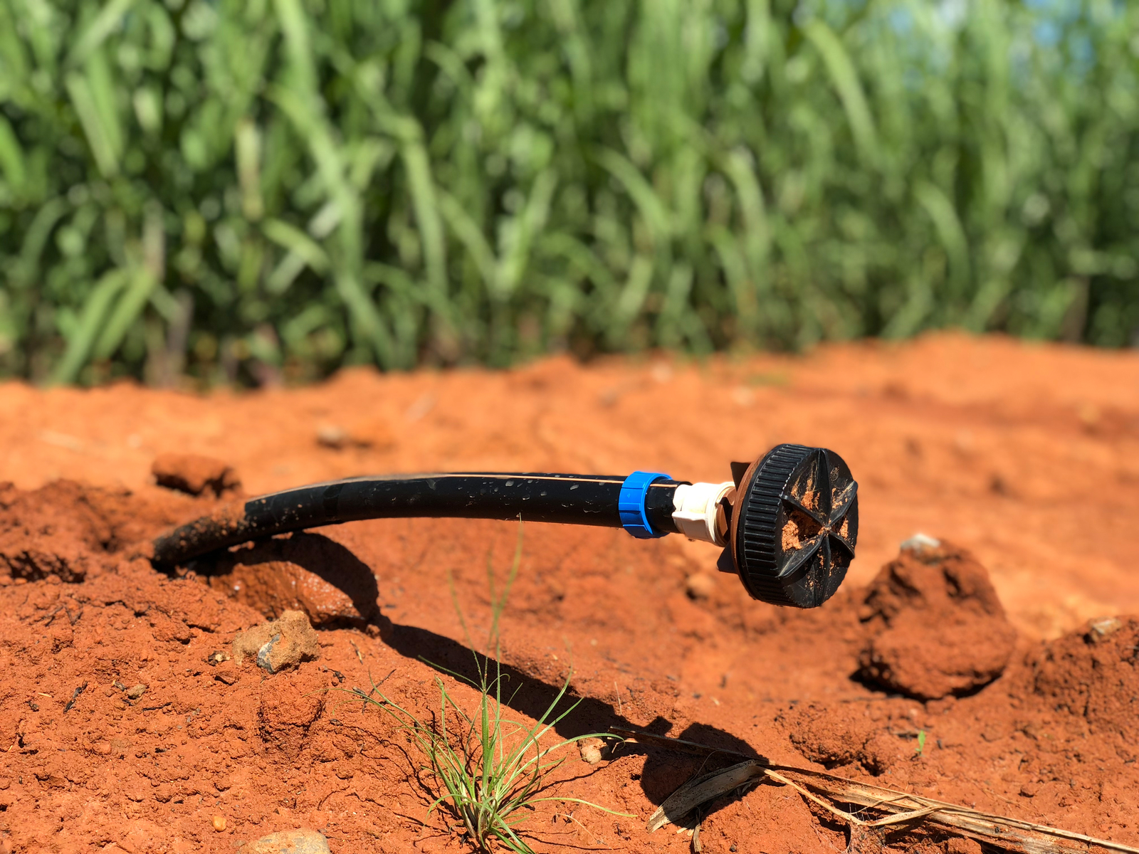 SDI Miguel Orellana - Netafim